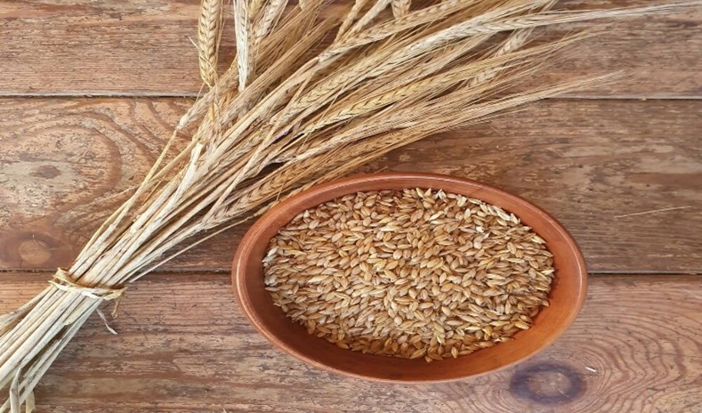 Muktinathfood | Home